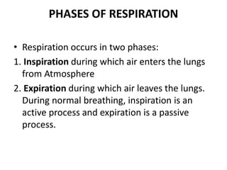 Respiratory system | PPTX