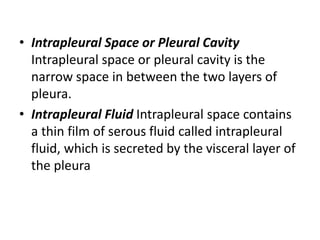 Respiratory system | PPTX