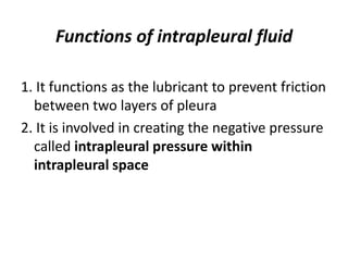 Respiratory system | PPTX