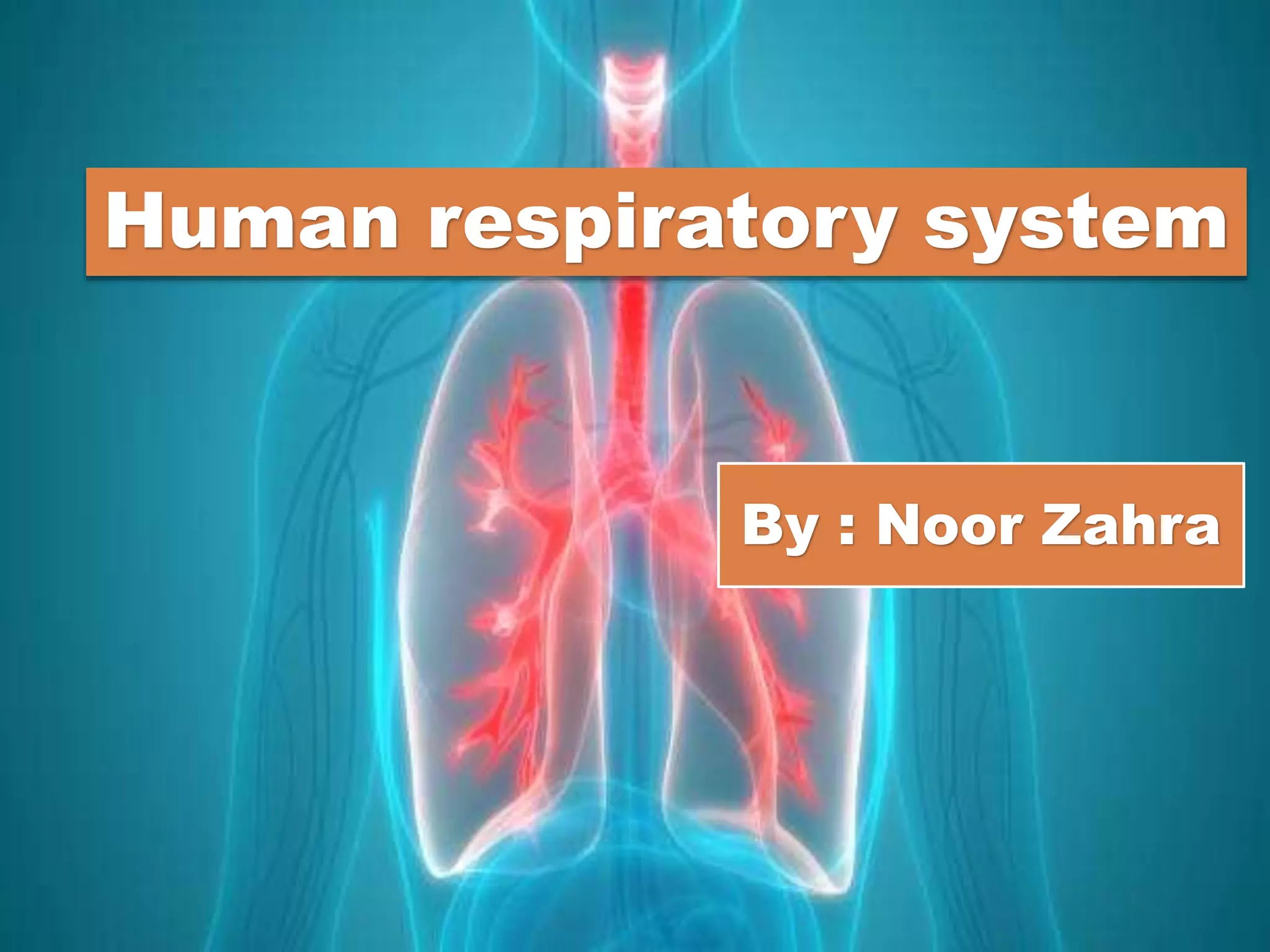 Respiratory system presentation | PPT