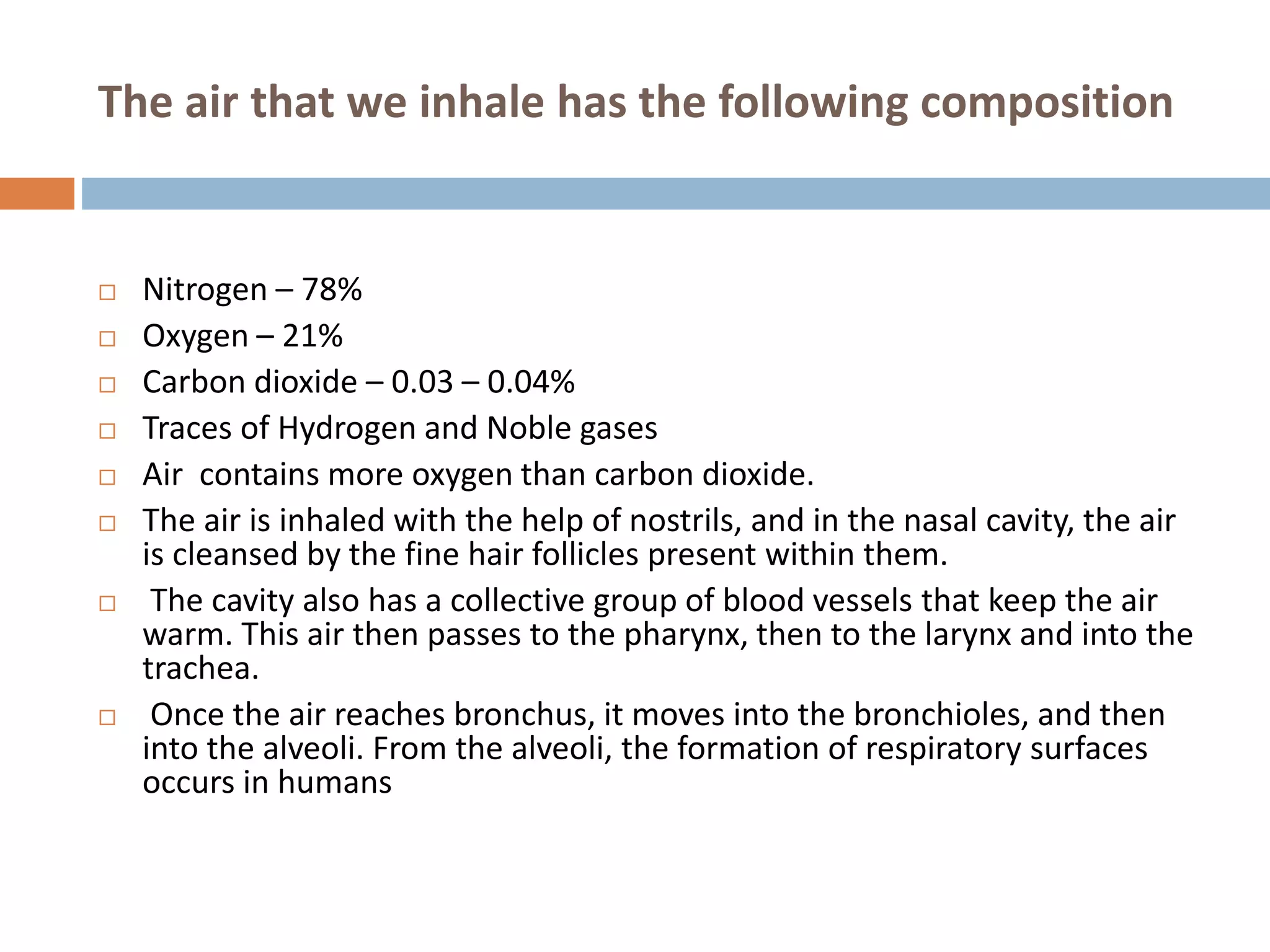 Respiratory system presentation | PPT