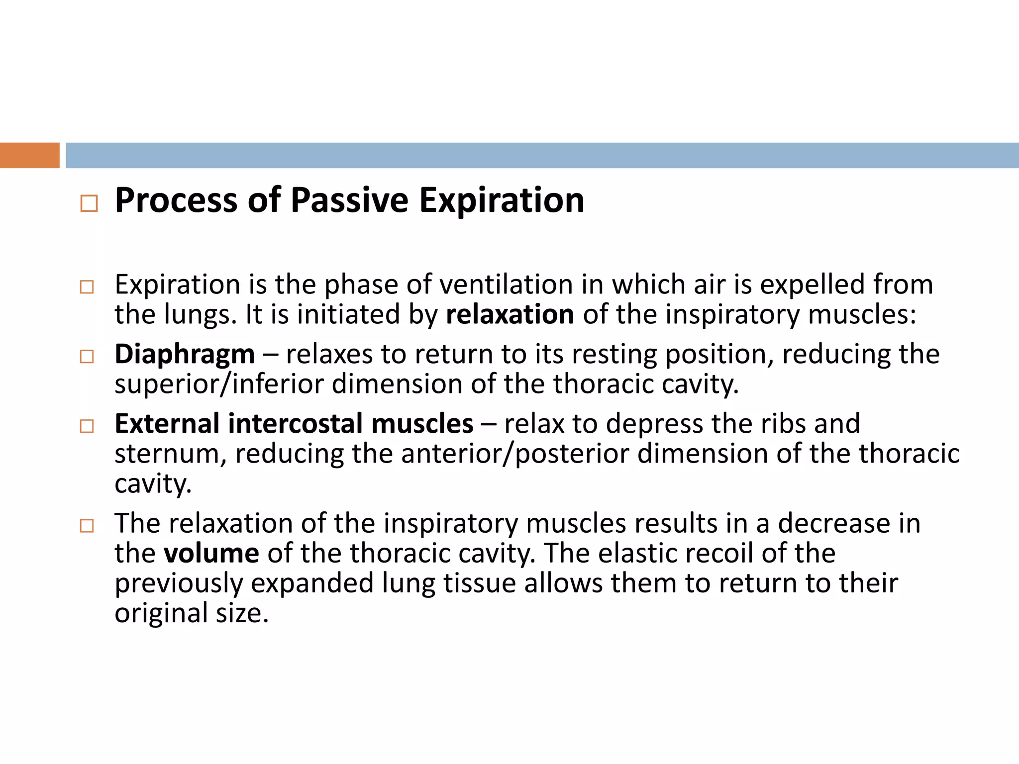 Respiratory system presentation | PPT