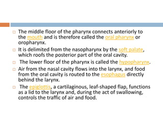 Respiratory system presentation | PPT