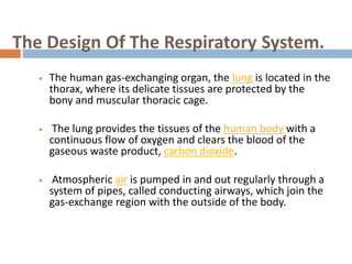Respiratory system presentation | PPT