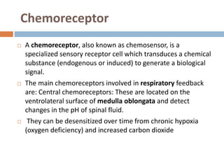 Respiratory system presentation | PPT