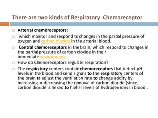 Respiratory system presentation | PPT
