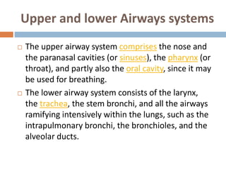 Respiratory system presentation | PPT