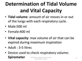 Respiratory system | PPTX