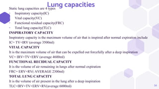 Respiratory system B pharmacy 2nd semester | PPTX