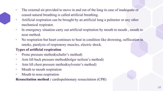 Respiratory system B pharmacy 2nd semester | PPTX
