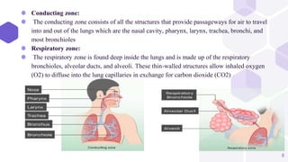 Respiratory system B pharmacy 2nd semester | PPTX