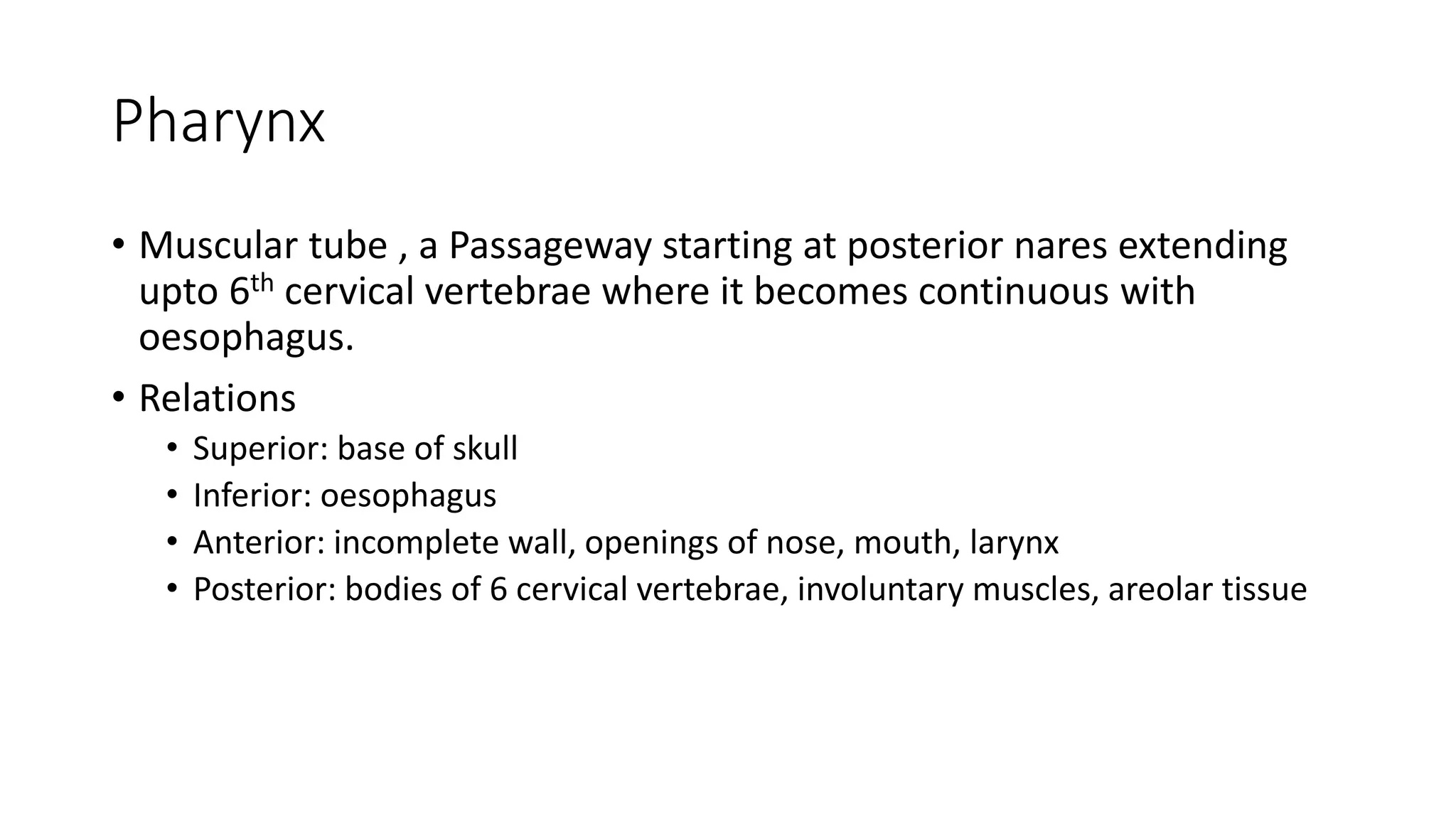Respiratory system.pptx | Ear, Nose and Throat Conditions | Diseases ...