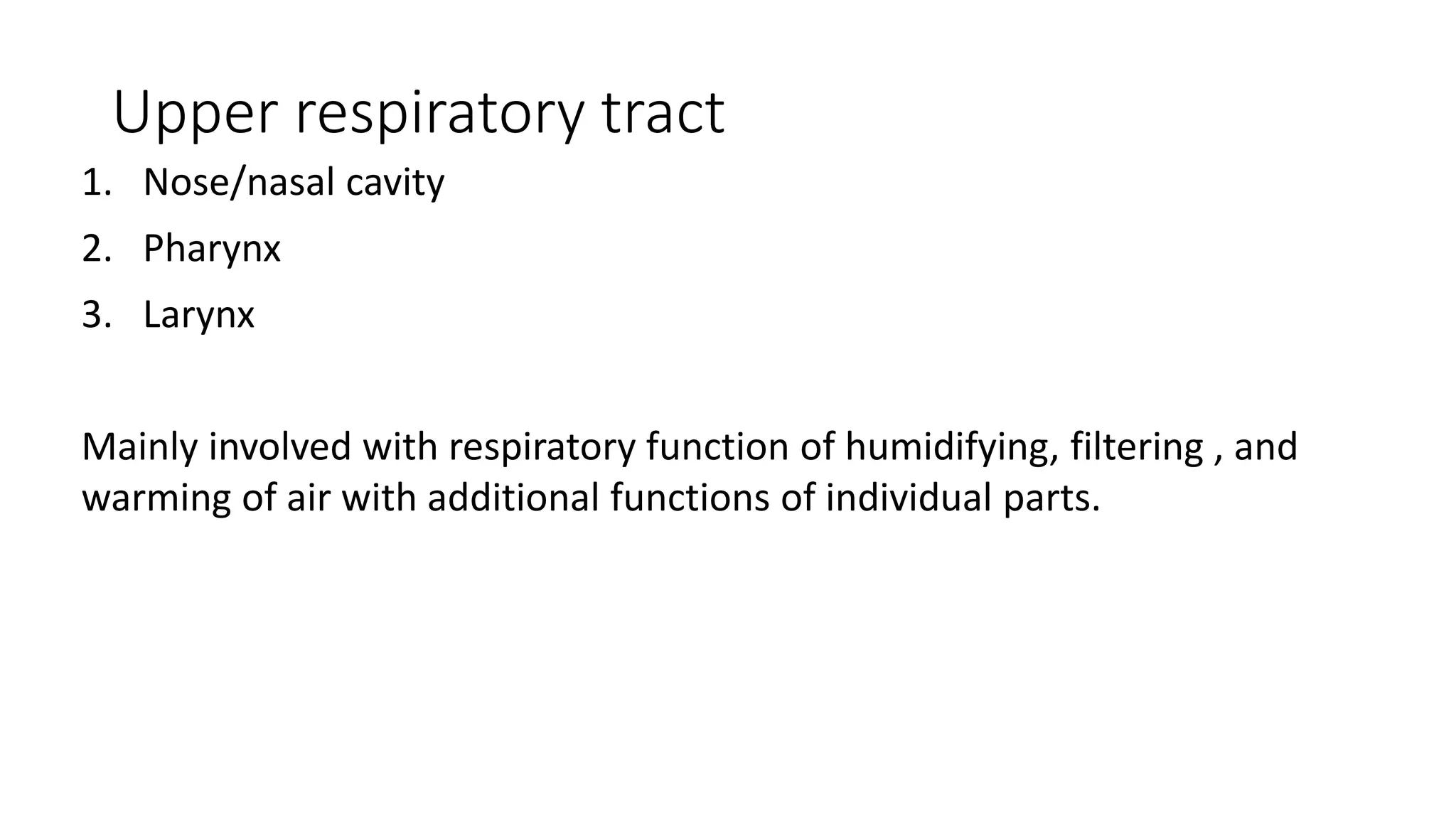 Respiratory system.pptx | Ear, Nose and Throat Conditions | Diseases ...