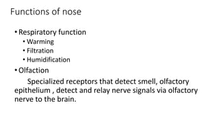 Respiratory system.pptx | Ear, Nose and Throat Conditions | Diseases ...