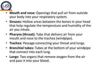 Respiratory system.pptx