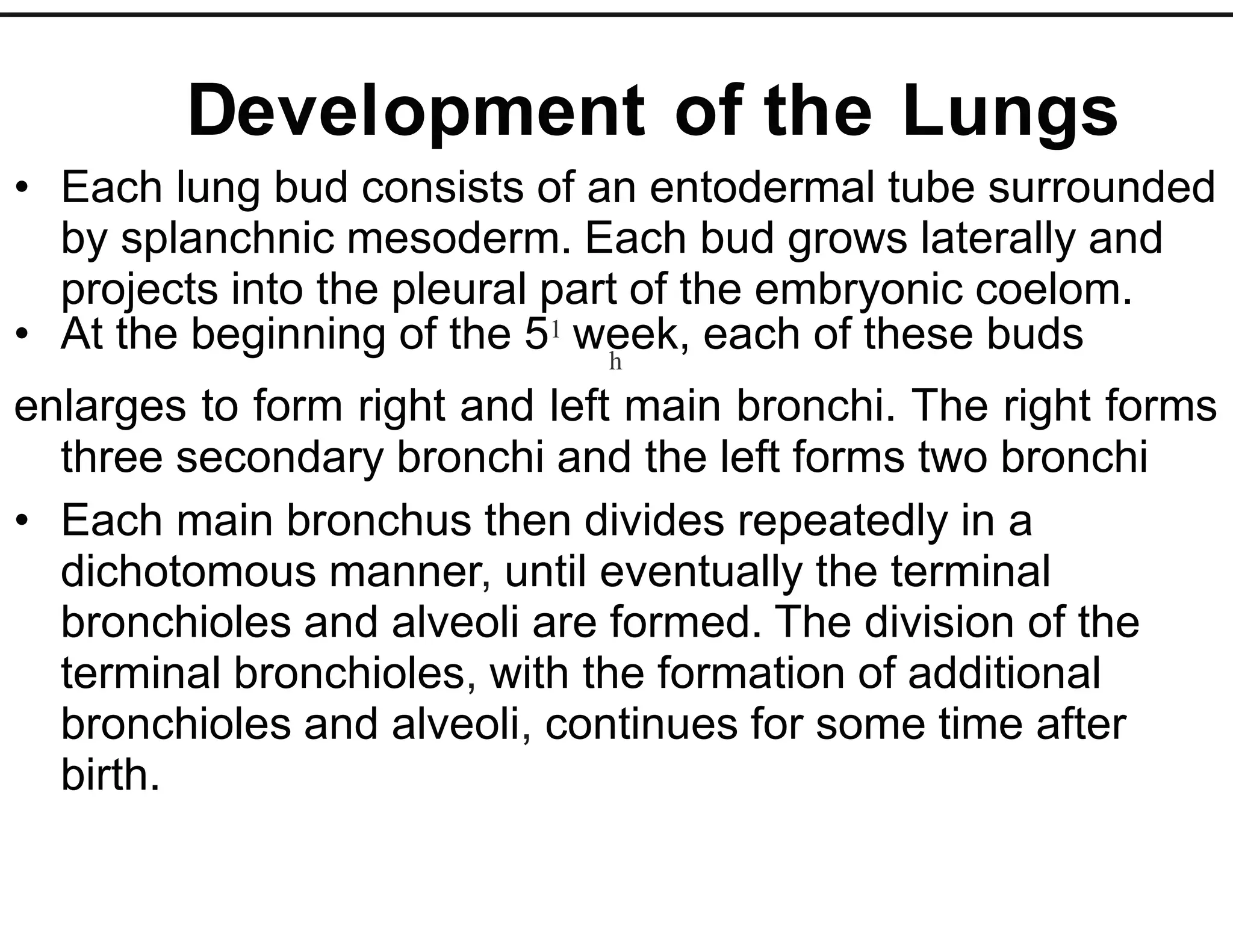 Respiratorysystem.ppt