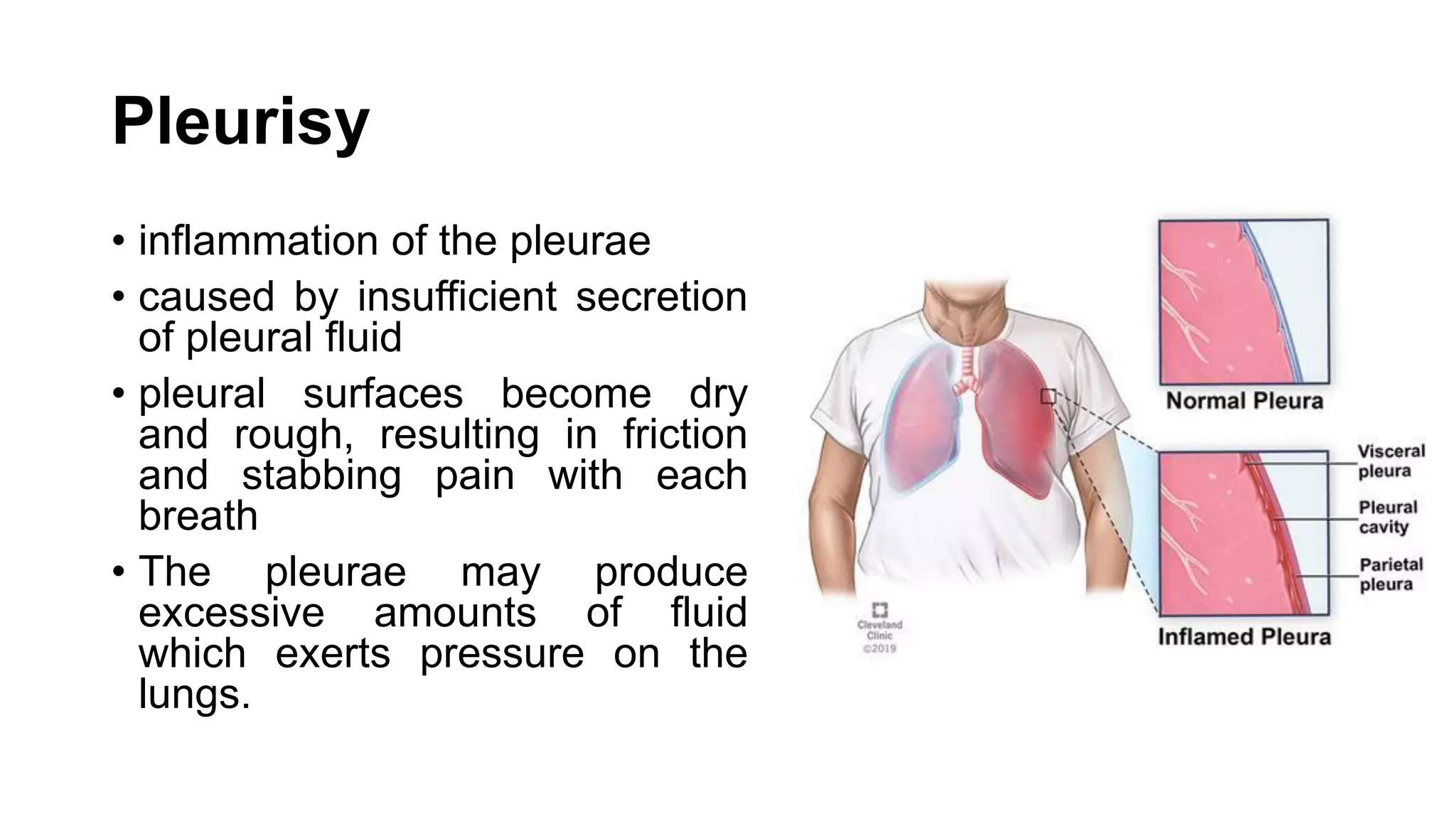 Respiratory System.pdf