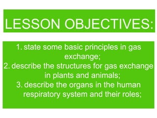 respiratory_system.ppt