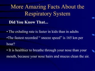 respiratory_system.ppt