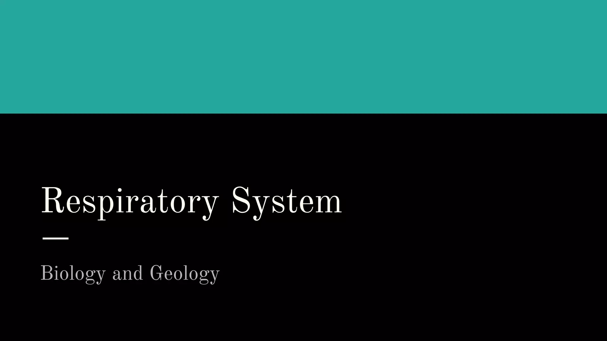 Respiratory System.pdf