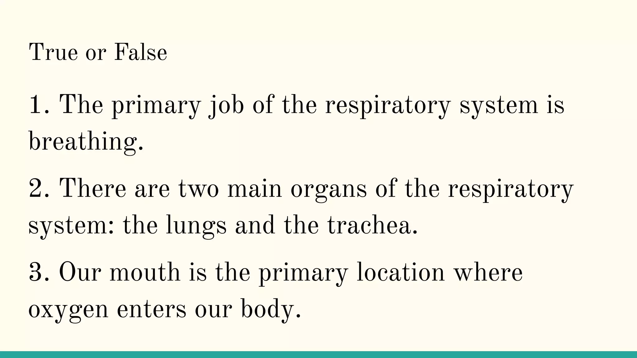 Respiratory System.pdf