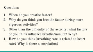 Respiratory System.pdf