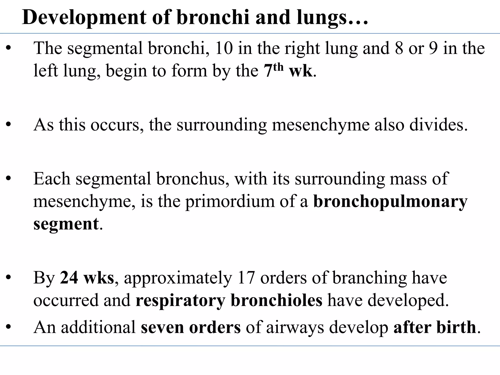 respiratory system.pptx