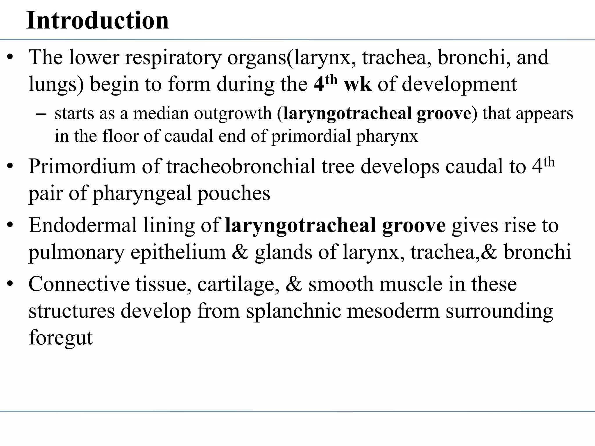 respiratory system.pptx