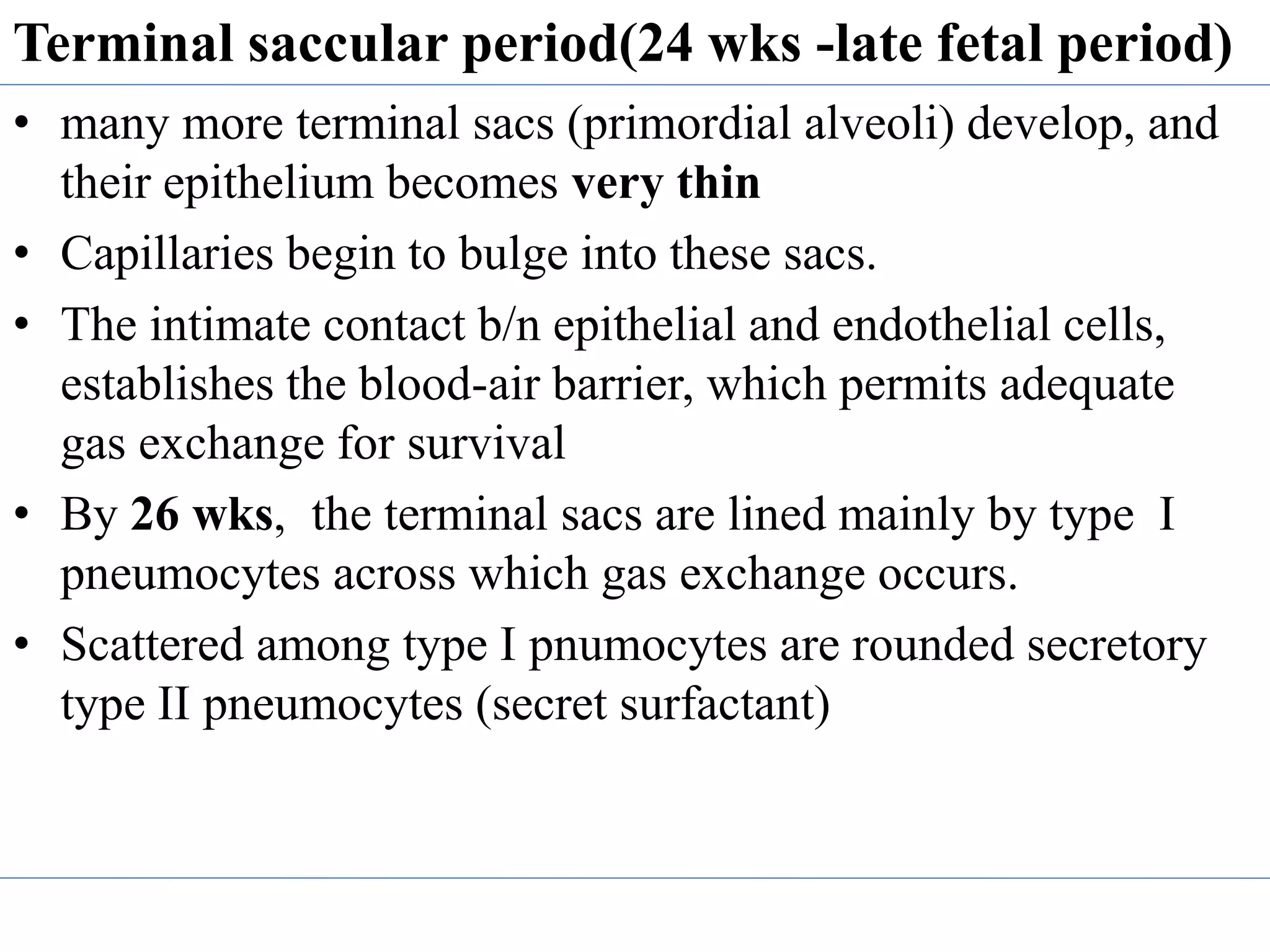 respiratory system.pptx