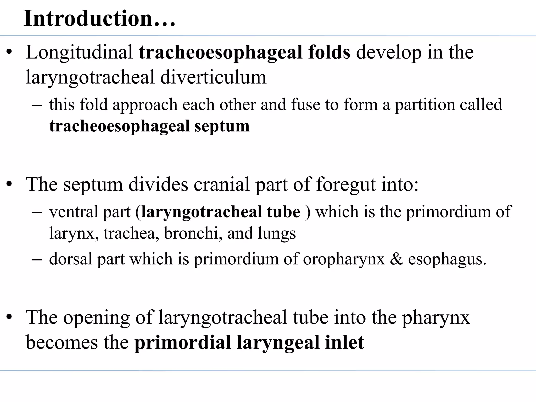 respiratory system.pptx