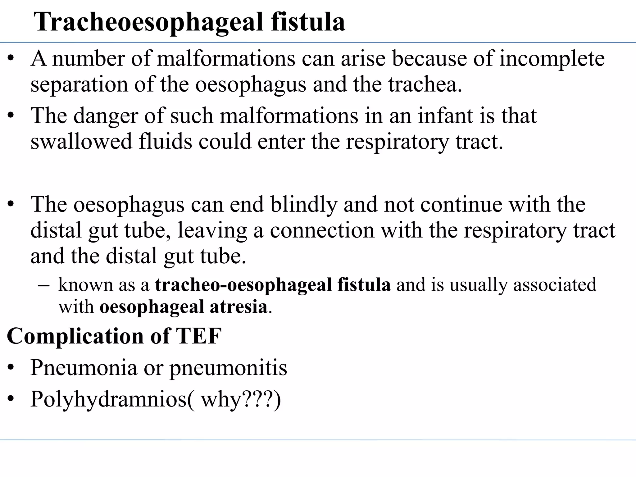 respiratory system.pptx