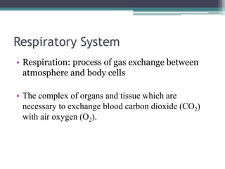 Respiratory System.pptx