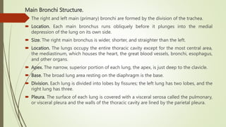 RESPIRATORY SYSTEM.pptx