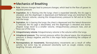 RESPIRATORY SYSTEM.pptx