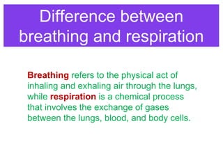 respiratory_system.ppt