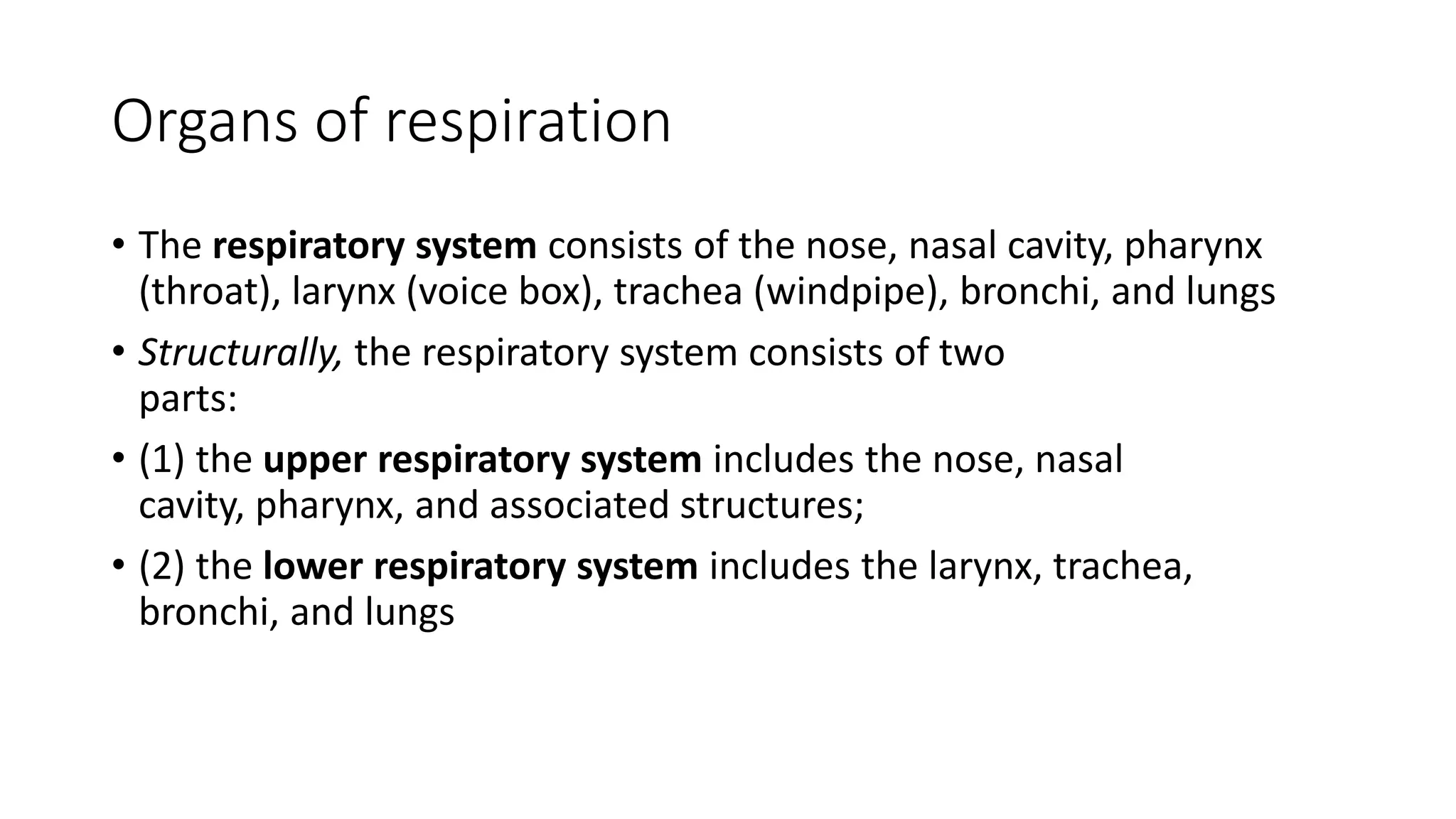 respiratory system.pptx