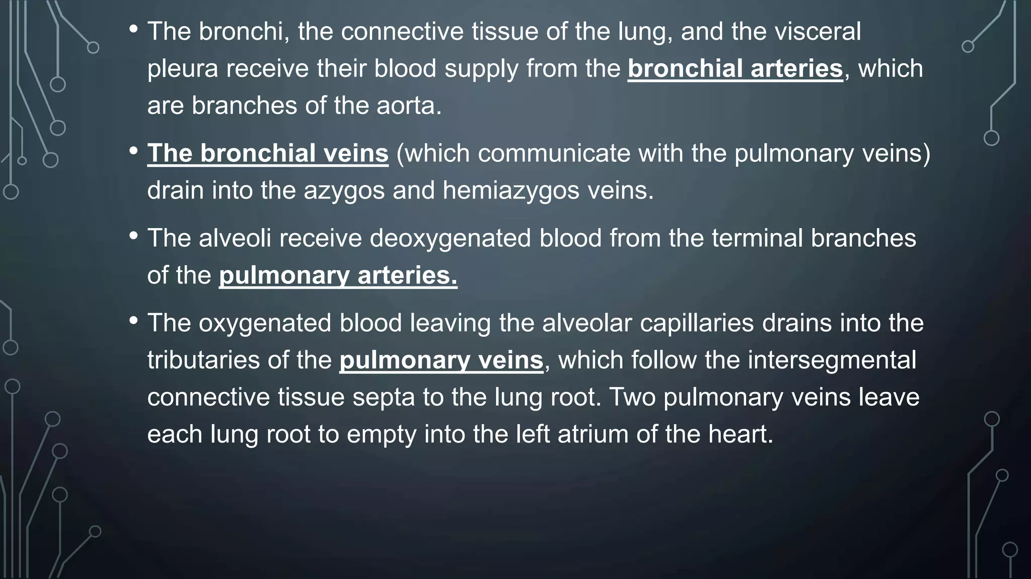 respiratory system.pptx
