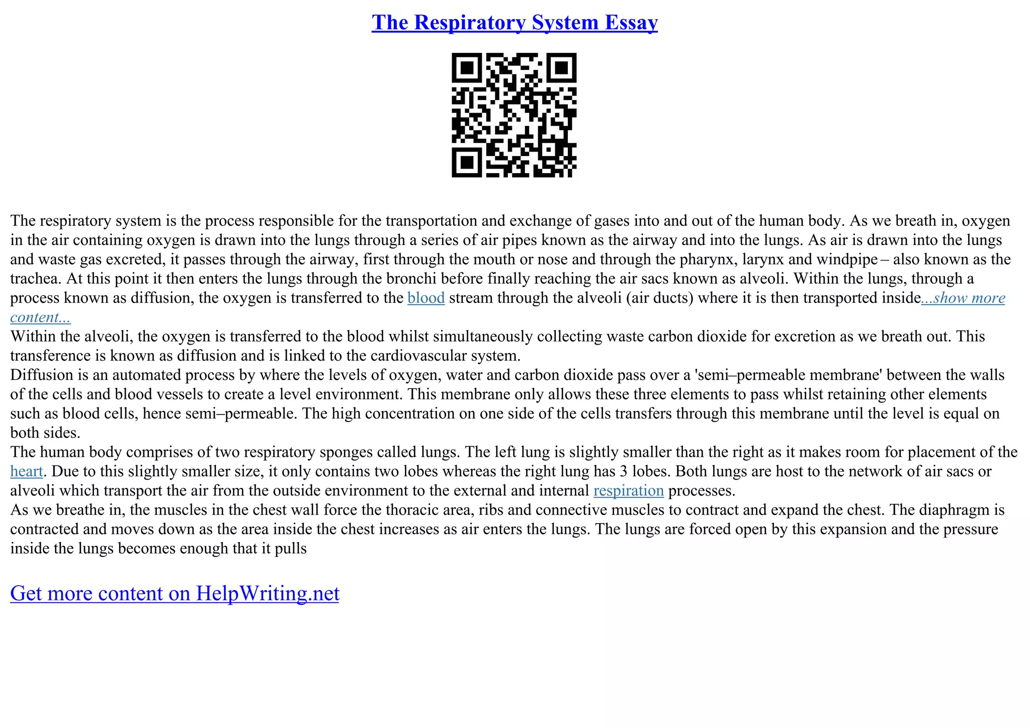 Respiratory System | PDF