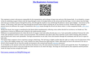 Respiratory System | PDF