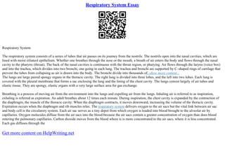 Respiratory System | PDF
