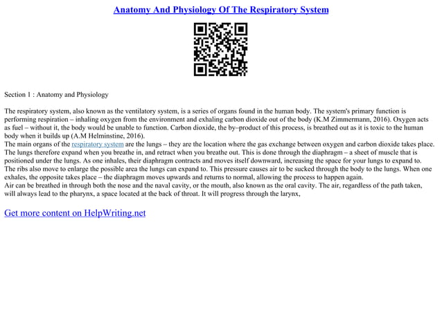 Respiratory System | PDF