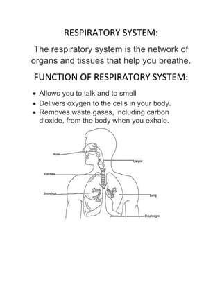 RESPIRATORY SYSTEM.docx