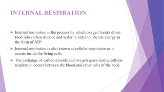 Respiratory system.pptx