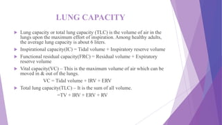 Respiratory system.pptx