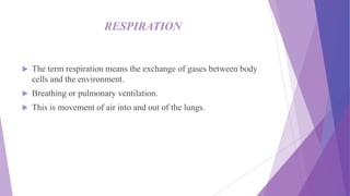 Respiratory system.pptx