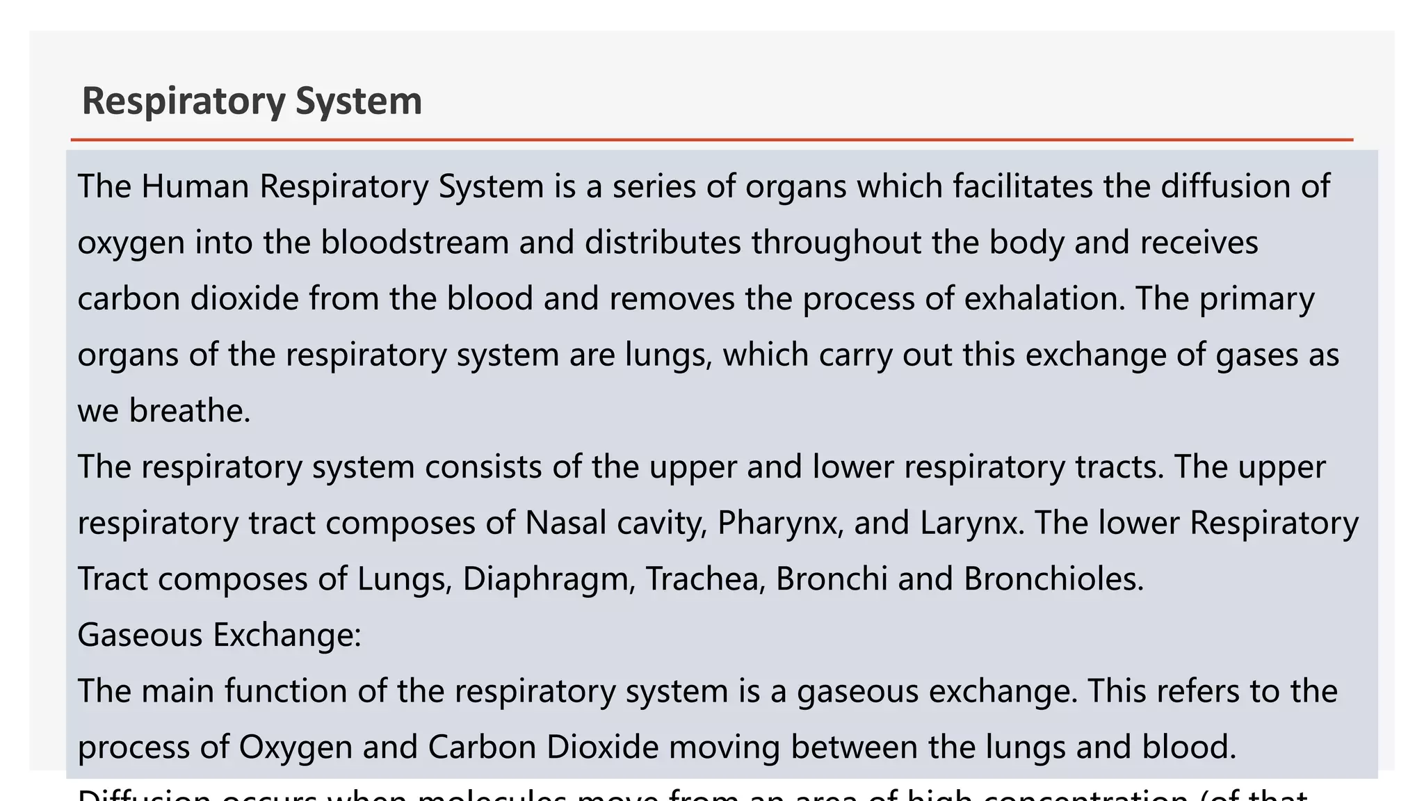 Respiratory System.pptx