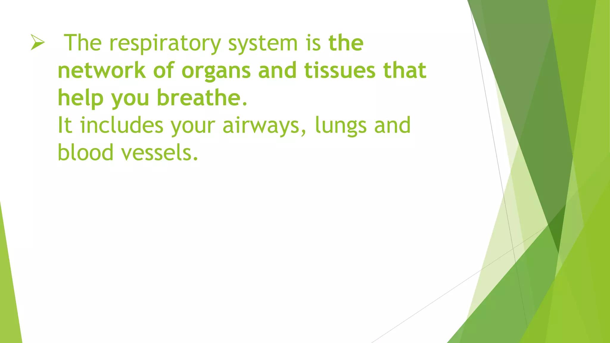 respiratory system.pptx