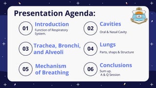 Respiratory System.pptx