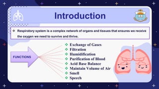 Respiratory System.pptx