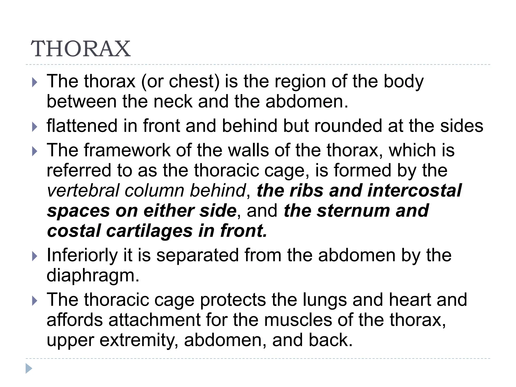 Respiratory system.pptx